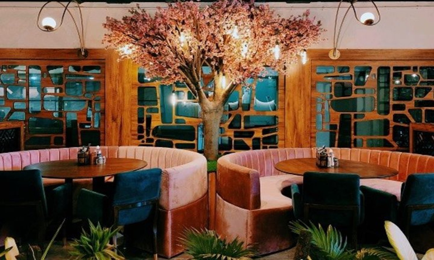 Indore Best Restaurant and Food | Enjoy multiple dishes in indores ...