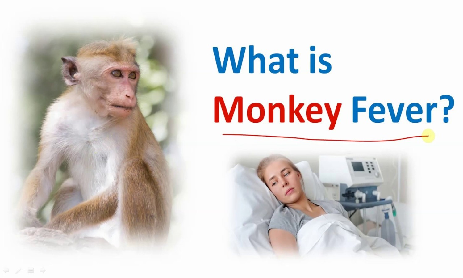 Monkey Fever ने बढ़ाई लोगों की चिंता, जानें इसके लक्षण और बचाव | what ...