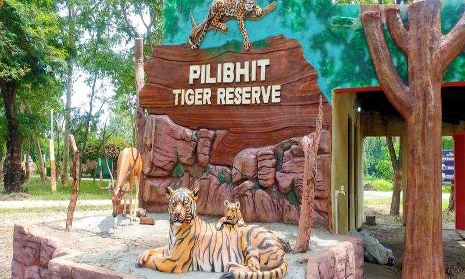 Pilibhit Tiger Reserve Tour Package | Pilibhit Tiger Reserve Ticket ...