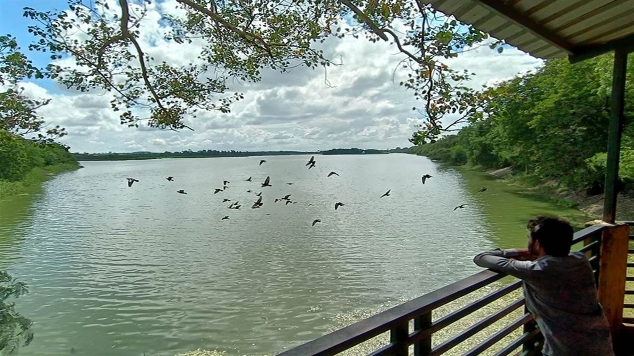 Indore Famous Sirpur Lake | Indore Tourism News in Hindi Samachar ...