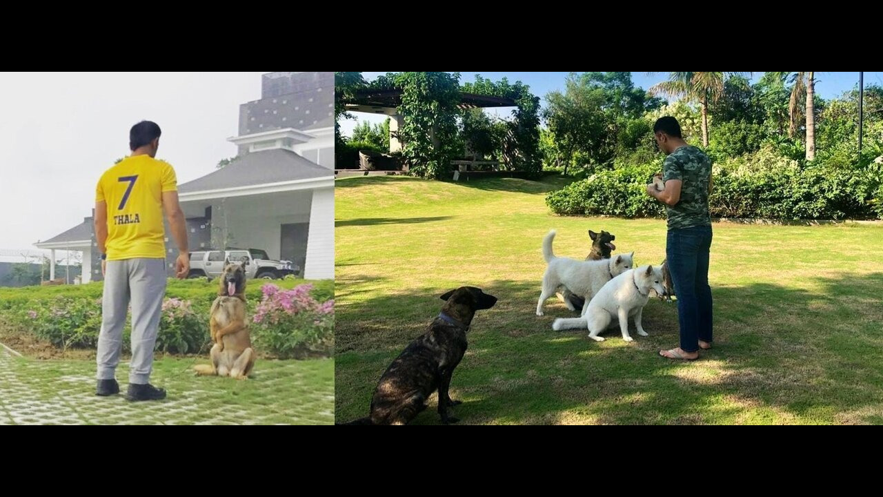 MS Dhoni Ranchi Farm House Inside Photos Luxury Interior | MS Dhoni ...