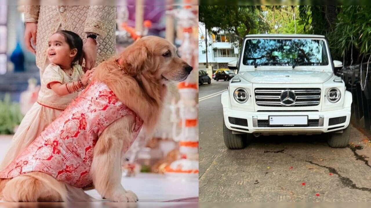 Mukesh Ambani Pet Dog| Mukesh Ambani Pet Dog Car Collection| Ambani ...