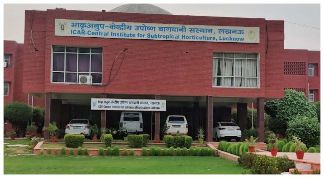 Lucknow News | ICAR-CISH | Mangoes | Guava | Varieties | Released ...
