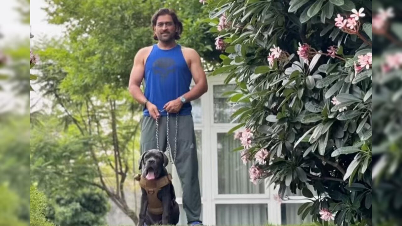 Mahendra Singh Dhoni| MS Dhoni Pet Dogs| MS Dhoni Pet Dogs Breed| MS ...