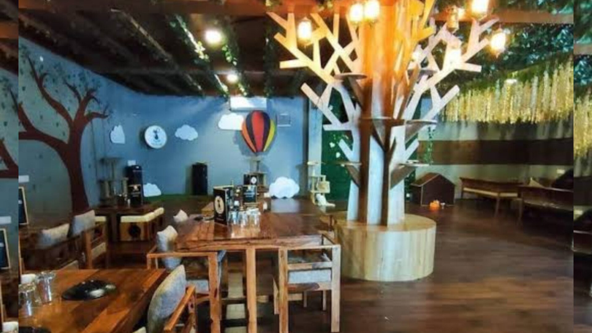 Raipur Famous Cafe Visit Time | Raipur Meow The Cat Cafe | Tourism News ...
