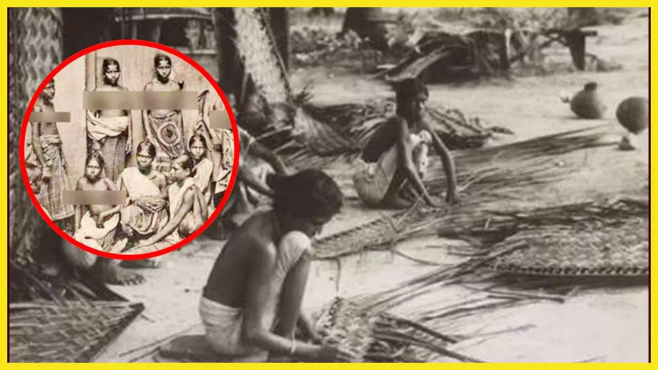 India Nangeli Pratha Ka Itihas in Hindi | Breast Tax History Wikipedia ...