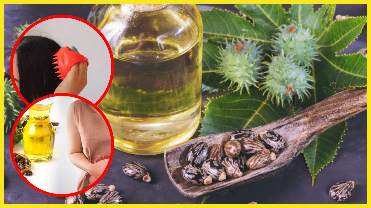 Rnd Ke Tel Ke Fayde aur Nuksan | Castor Oil Benefits and Side Effects ...