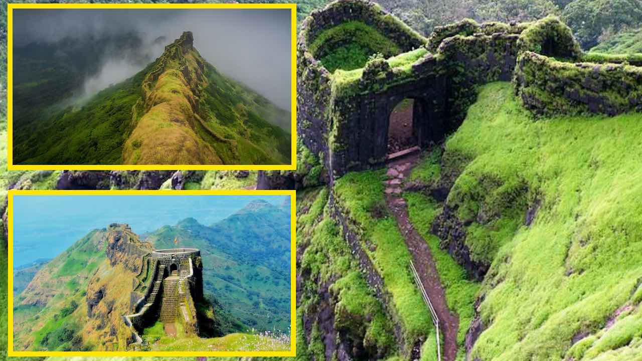 Rajgarh Fort History Wikipedia in Hindi | Maharashtra Ka Famous Rajgarh ...