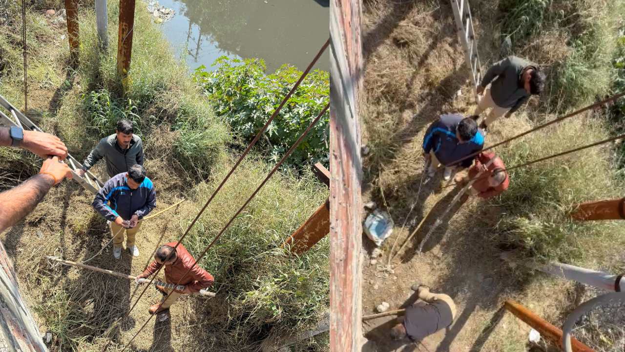 Meerut News Today Rescue of python hunter was hiding forest department worked hard| Uttar ...