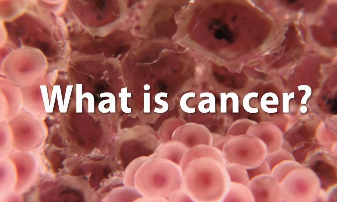 What is Cancer Disease | Types Of Cancer | Categories of cancer ...