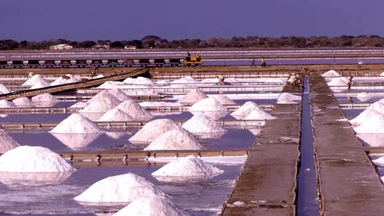 Sri Lanka crisis, salt shortage, white gold, salt price surge, economic ...