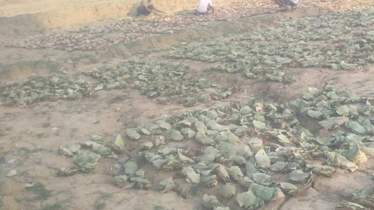 Chandauli News|plucking of tendu leaves stopped due to bad weather ...