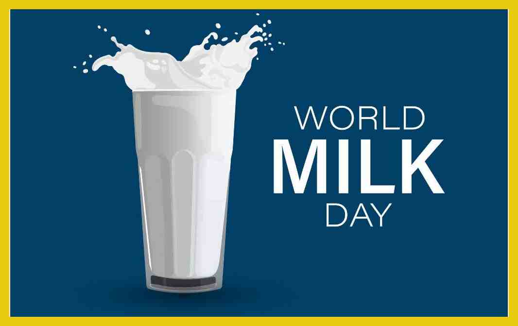 World Milk Day | History of World Milk Day |Importance of World Milk Day | Significance of World ...