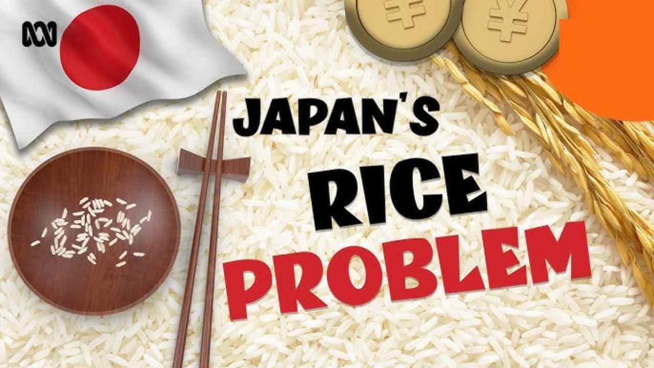 Rice Shortage Occur in Japan | Rice Shortage's Impact on Japan's ...