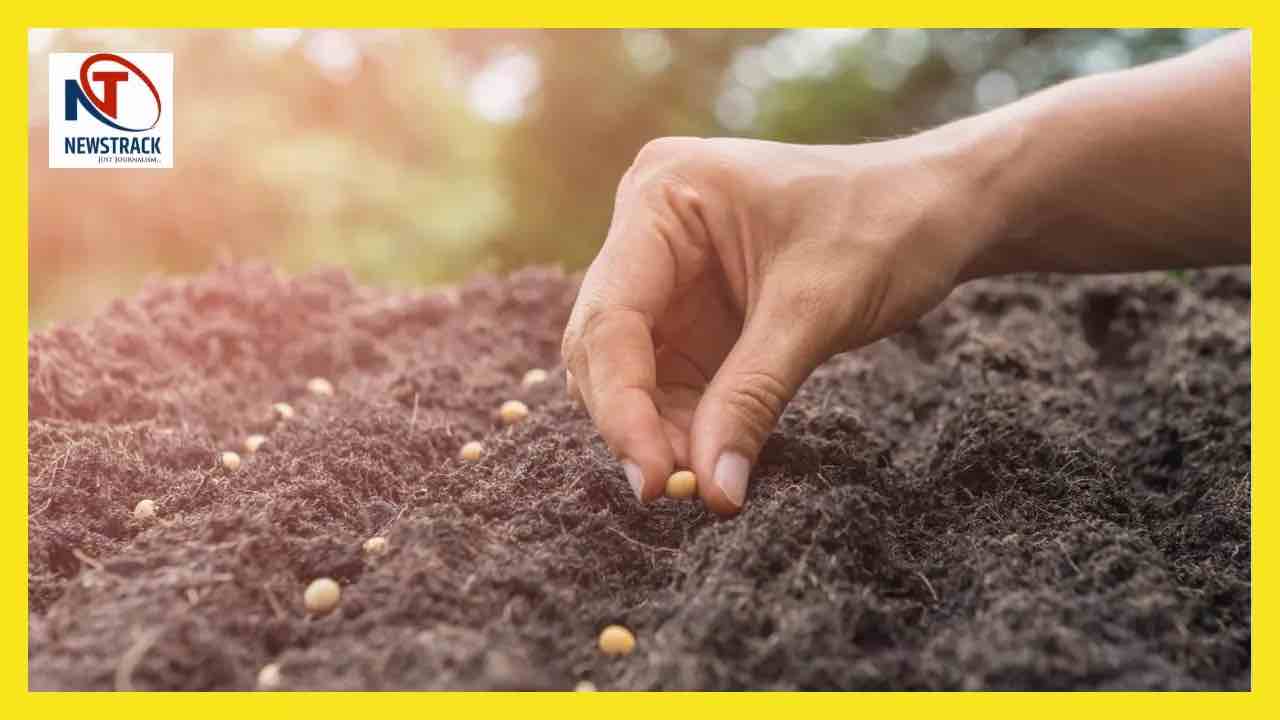 Science of Traditional Indian Farming Tips Soil and Seeds Importance ...