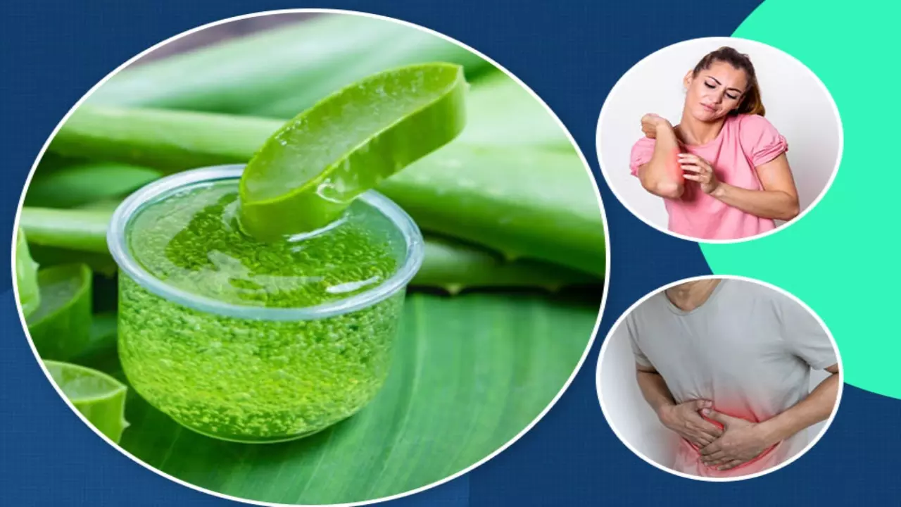 Aloe Vera Side Effects | Skin allergy | Aloe vera rash | Today Latest ...