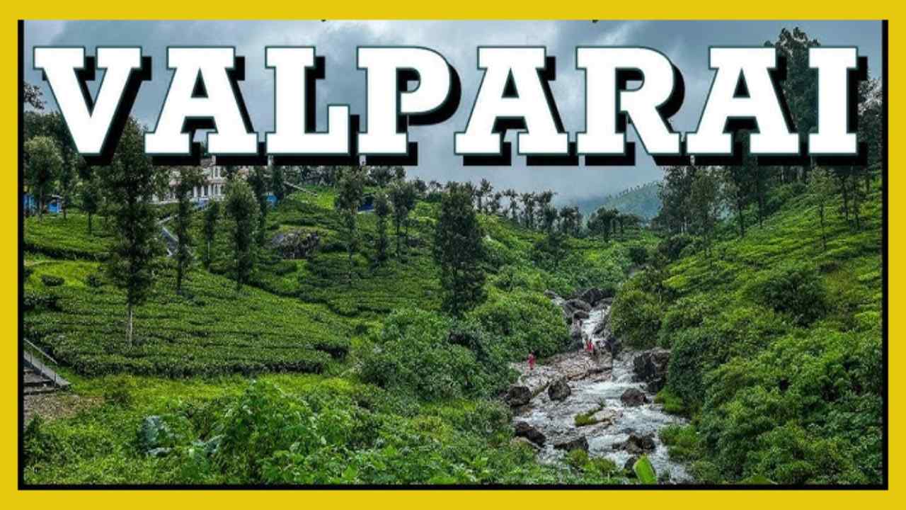 Valparai Tea Estate | The Smell of Tea and the Thrill of the Forest at ...