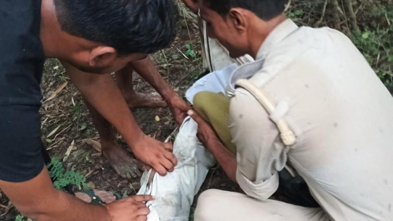 Hardoi: Minor Girl's Body Found in Suspicious Circumstances, Rape & Murder Suspected; One ...