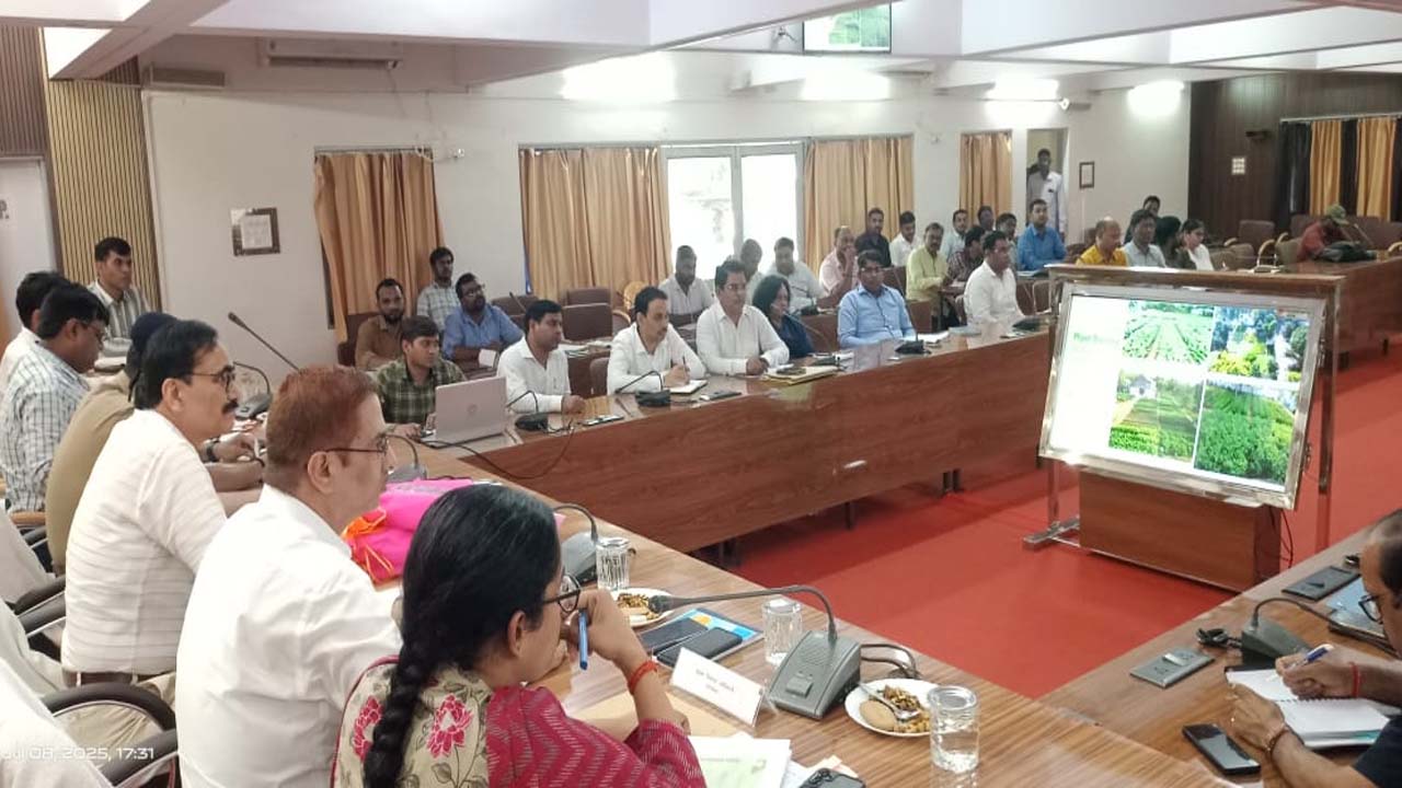 Sonbhadra Ready for 'One Tree for Mother' Mega Plantation Drive on July ...