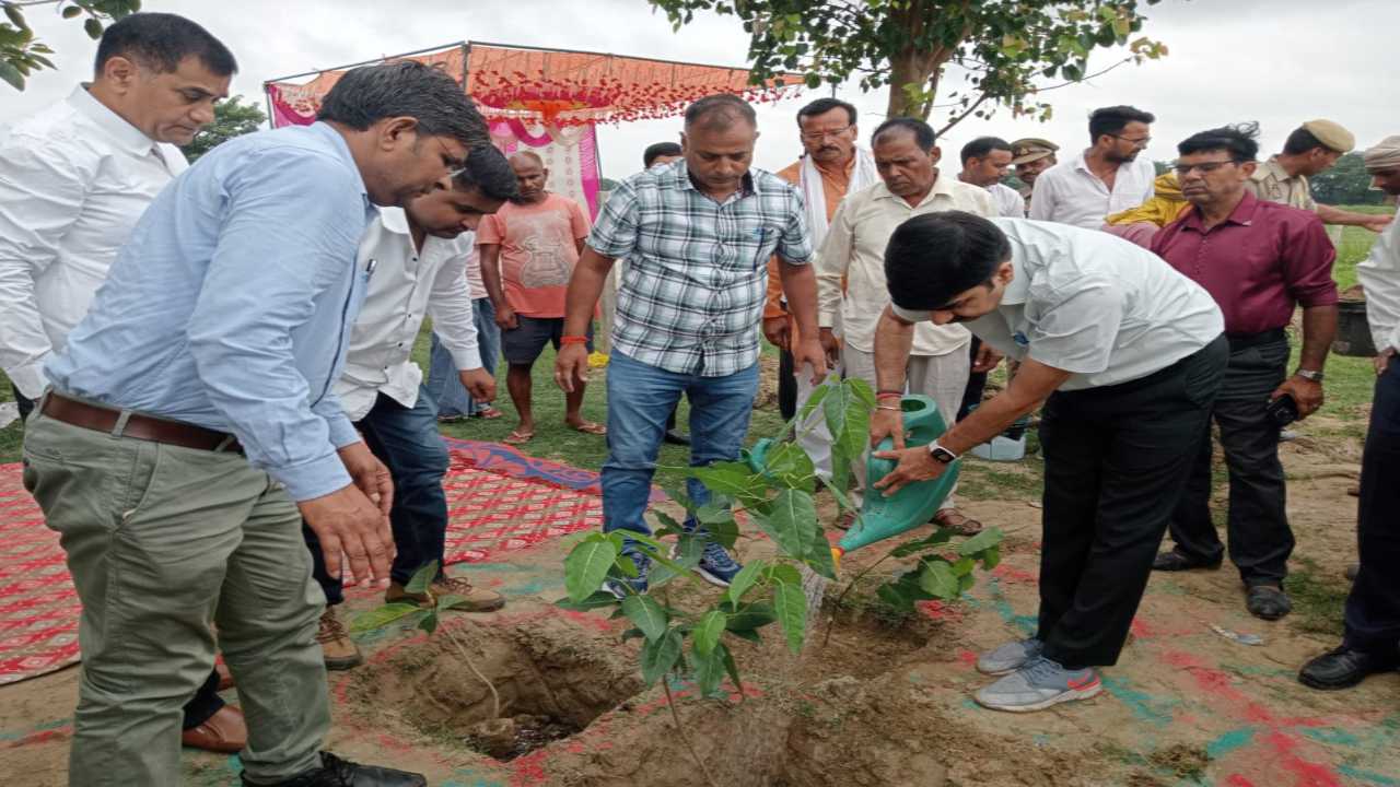 The Divisional Commissioner inaugurated the plantation campaign by ...