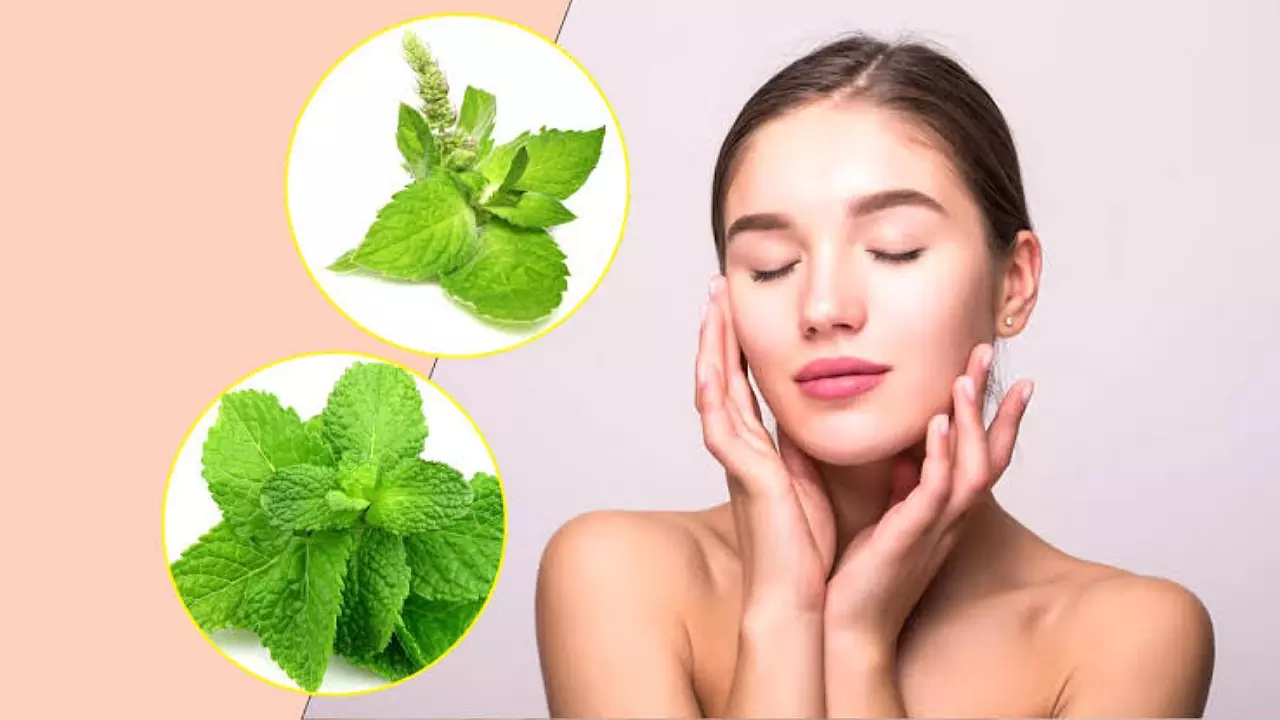Curd face pack | Rose water face pack | Tulsi benefits for skin ...