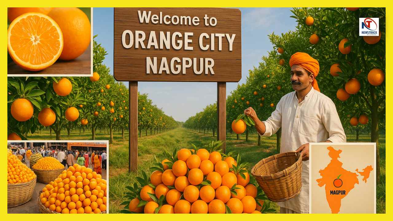 Nagpur Orange History and Intresting Facts About Nagpur Ke Santre Ka ...