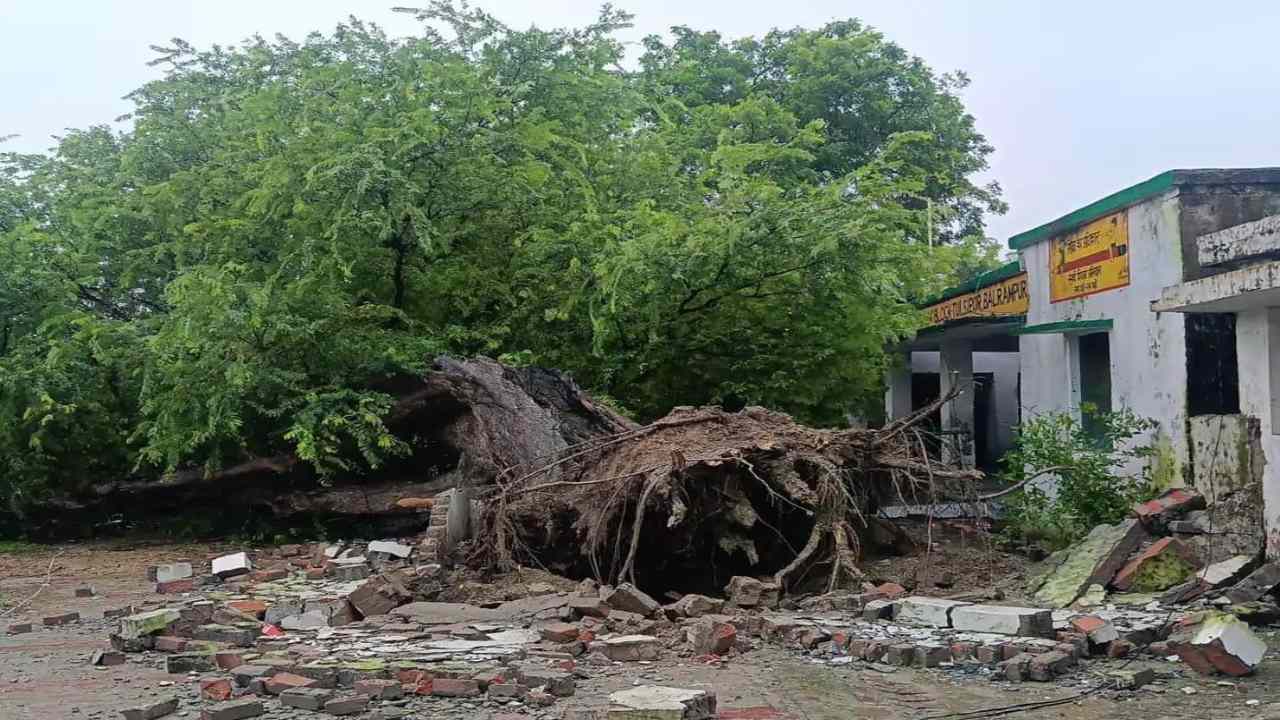 100 year old tamarind tree fell in Devipatan, Primary School II damaged ...