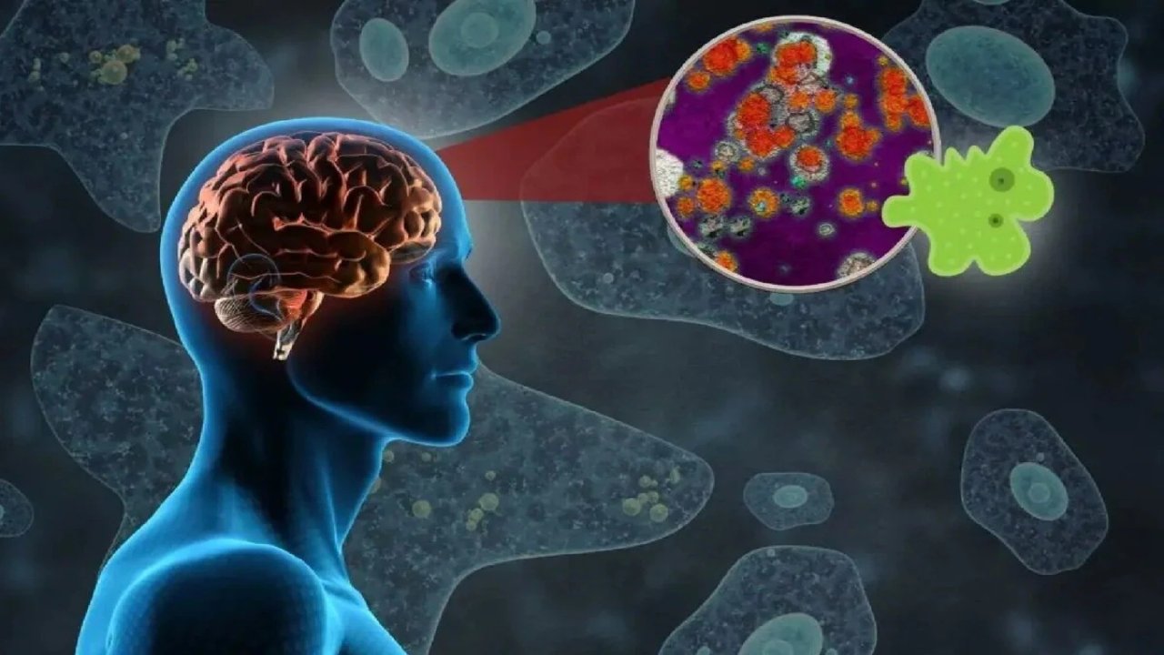 Brain-Eating Amoeba Kerala | Naegleria Fowleri Infection | Samachar ...