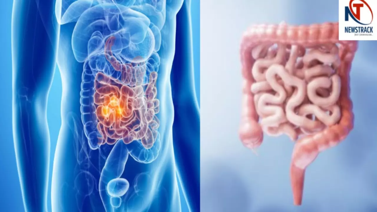 Small Intestine Function|small intestine surgery| small intestine ...