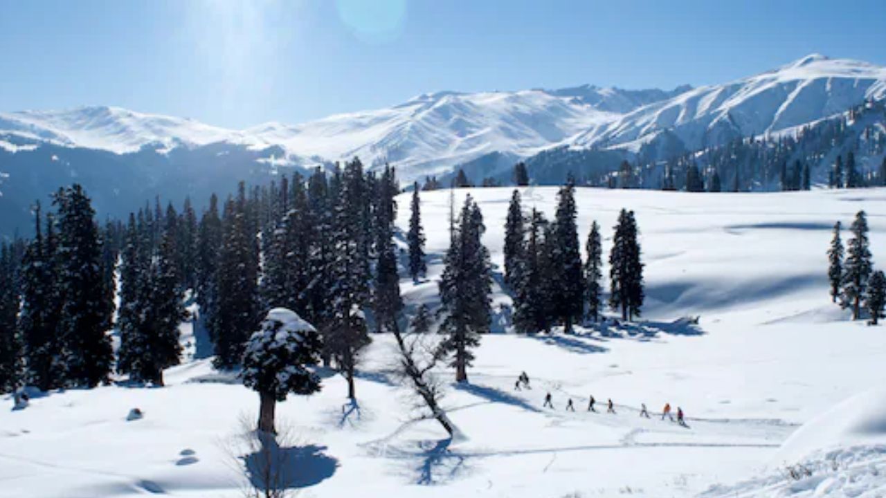 Kashmir First Snowfall Season| Heavy Rain Hits Bihar-Chhattisgarh|IMD ...