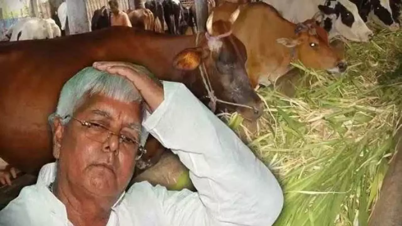 Lalu Prasad Yadav Chara Scam: 950 Crore Bihar Fodder Scam, Political ...