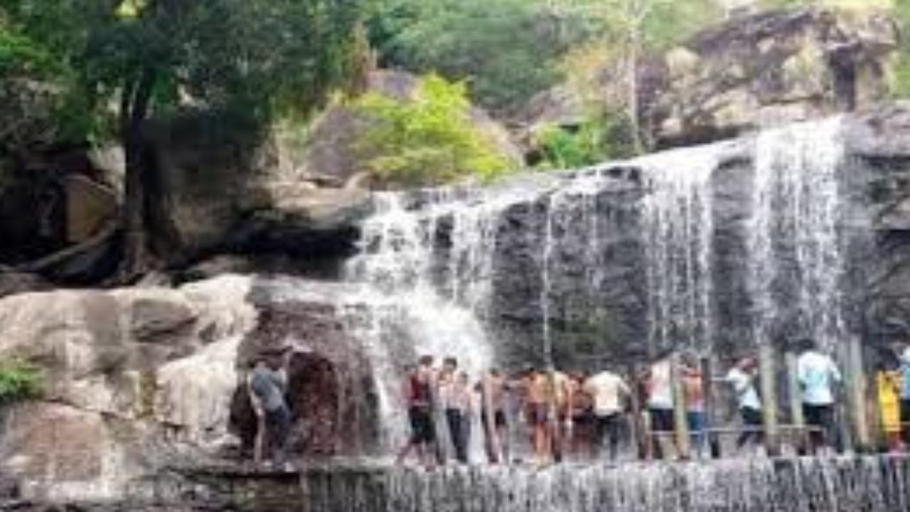 Pollachi Tourism: Nature, Waterfalls, Dams, Wildlife and Tea Gardens ...