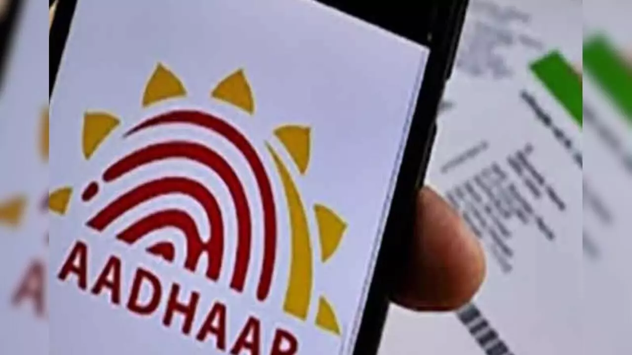 UIDAI has launched the new mAadhaar App with a modern design better ...
