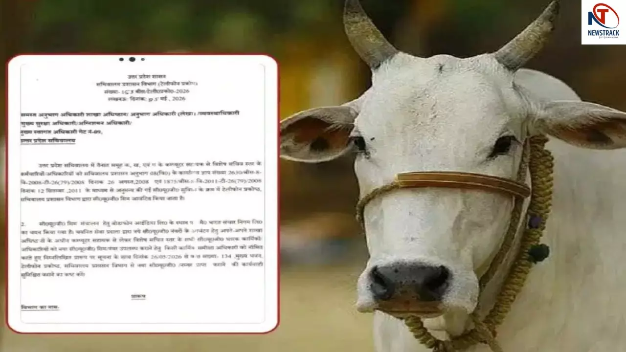 Bareilly viral letter| UP teachers controversy| cow fodder collection ...