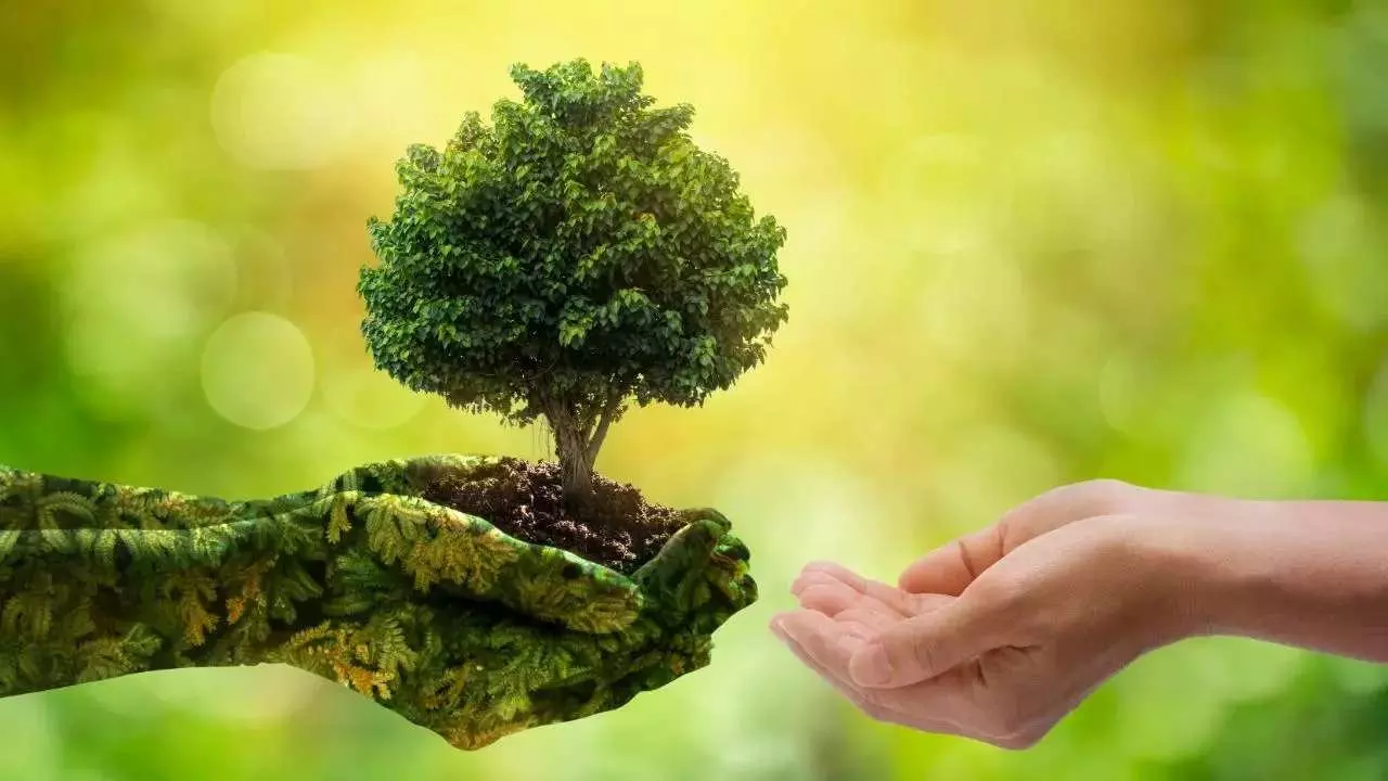 World Environment Day 2026| Theme Significance and UN Secretary-General ...