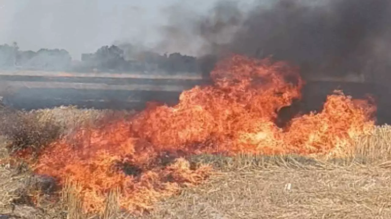asti Fire News: 700 Fire Incidents Reported| Latest Hindi News ...
