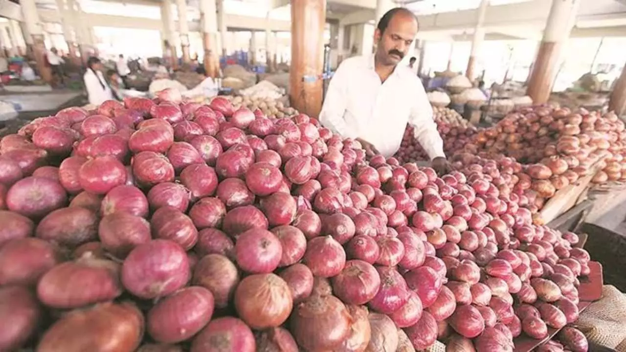 Onion Price Hike 2026: Government Raises Procurement Rate, Onion Prices ...
