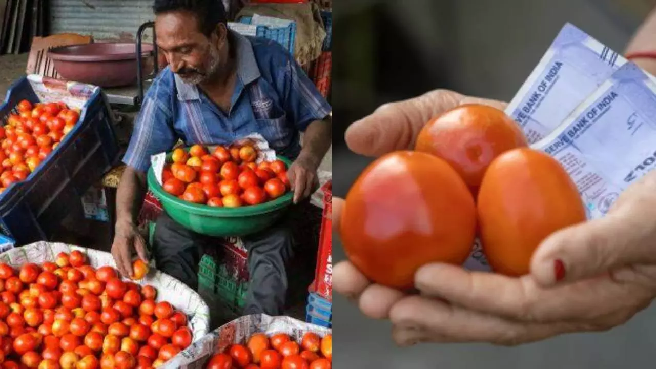 Tomato Price Hike 2026: Rates Jump from â ¹20 to â ¹80 Per Kg, Onion ...