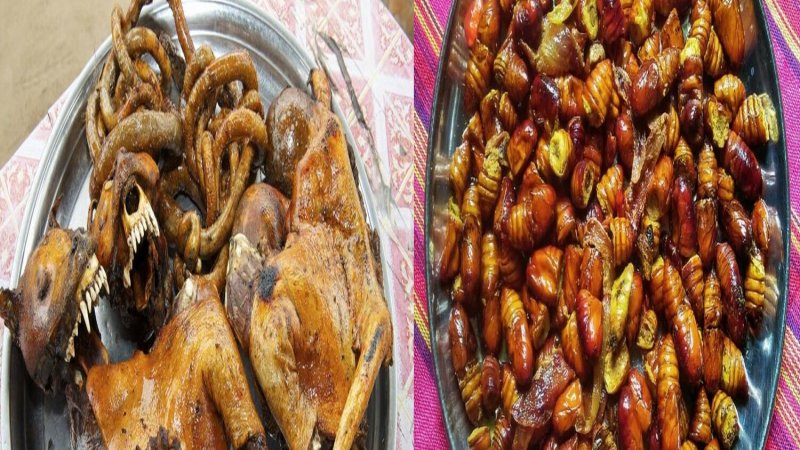 weird food of india bizarre foods red ant chutney baby shark curry frog ...