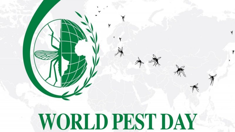 world insect day world pest day every year 6 june history this day ...