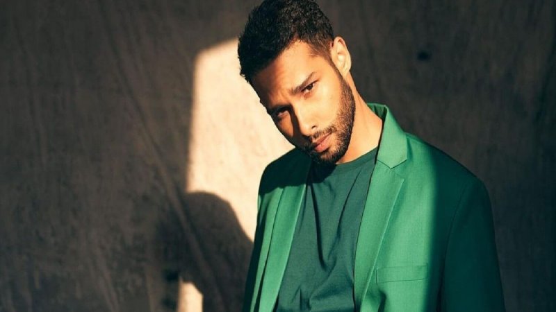 siddhant chaturvedi wiki in hindi siddhant chaturvedi biography ...