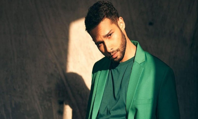 siddhant chaturvedi wiki in hindi siddhant chaturvedi biography ...