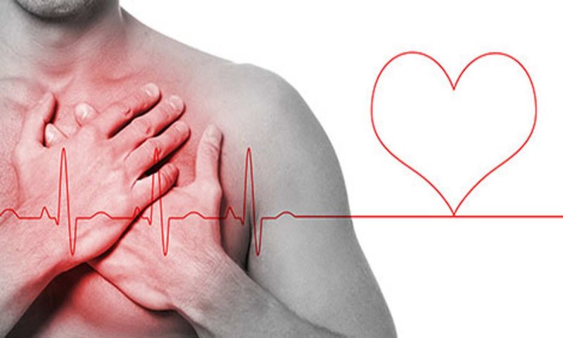 lifestyle health hriday rog junk food world heart foundation heart ...