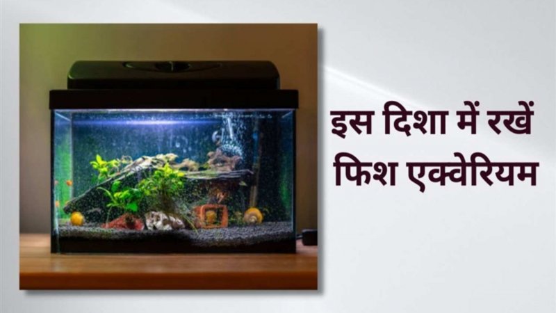 know where to place fish aquarium according to vastu shastra machli ...