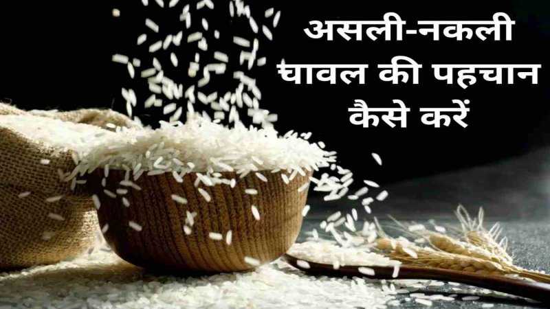 plastic rice vs real rice how to identify plastic rice or fake rice at ...