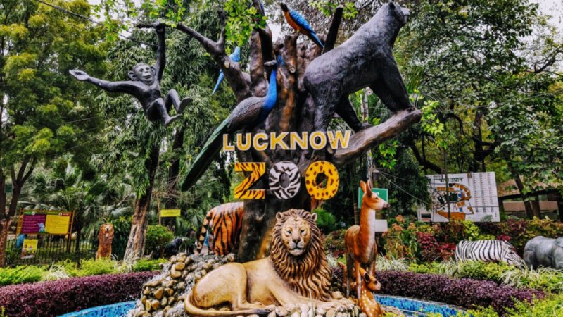 lucknow zoo ticket and timing and all details lucknow chidiyaghar train ...