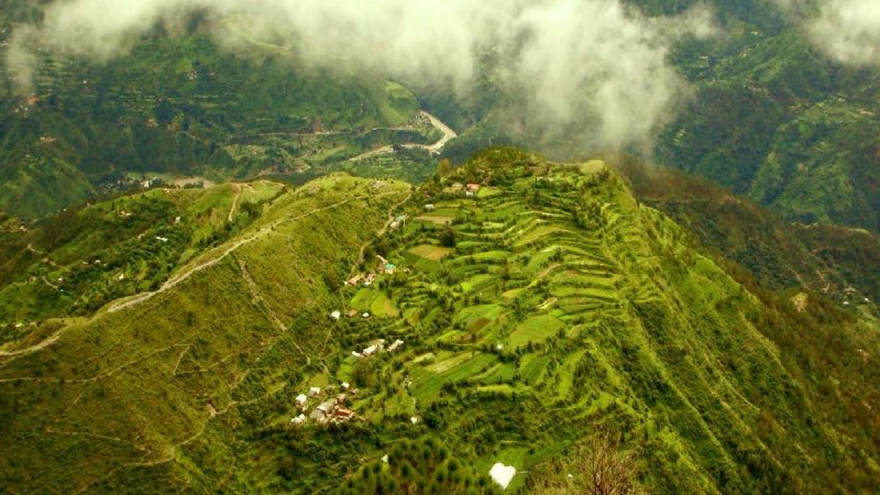 chail hill station history know about himachal beautiful hill stations ...