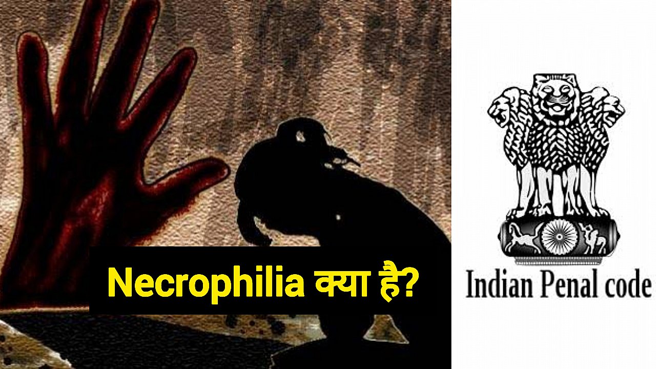 Necrophilia Raping Dead Body Not Crime In India What Is Law Of Necrophilia Raping Dead Body Not Crime In India What Is Law Of