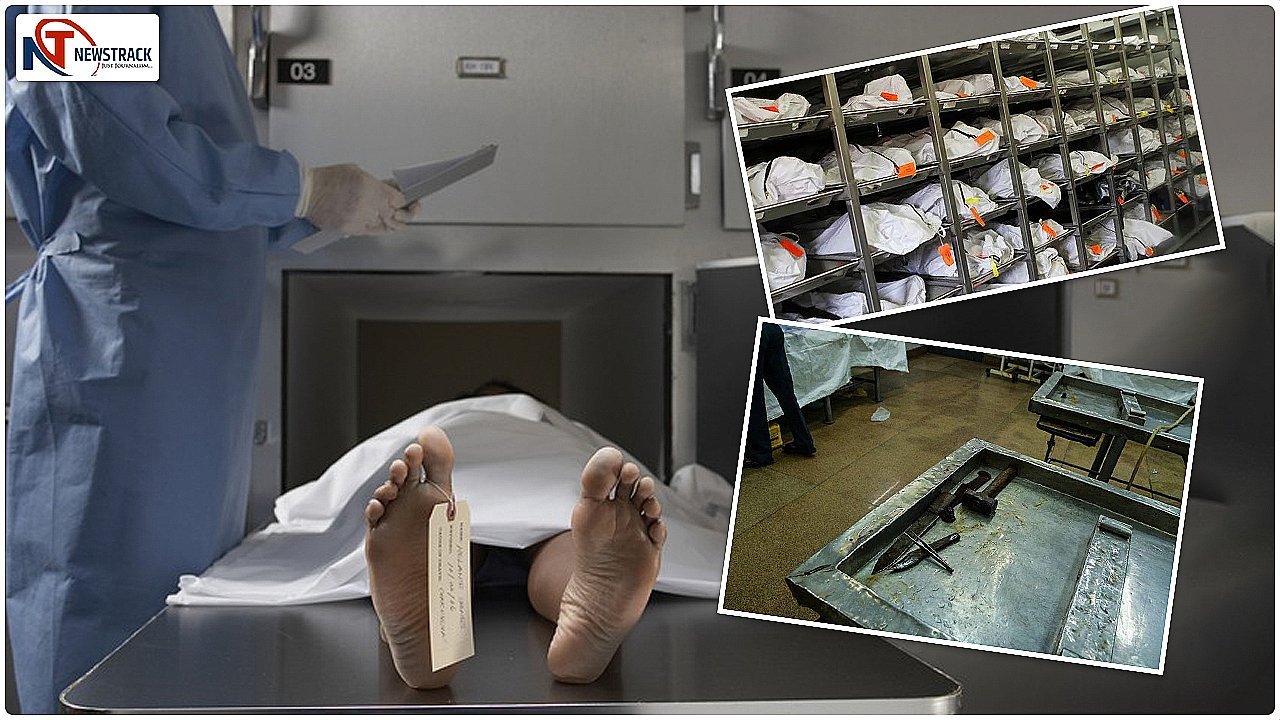 harvard medical school morgue manager and his wife accused stealing and ...