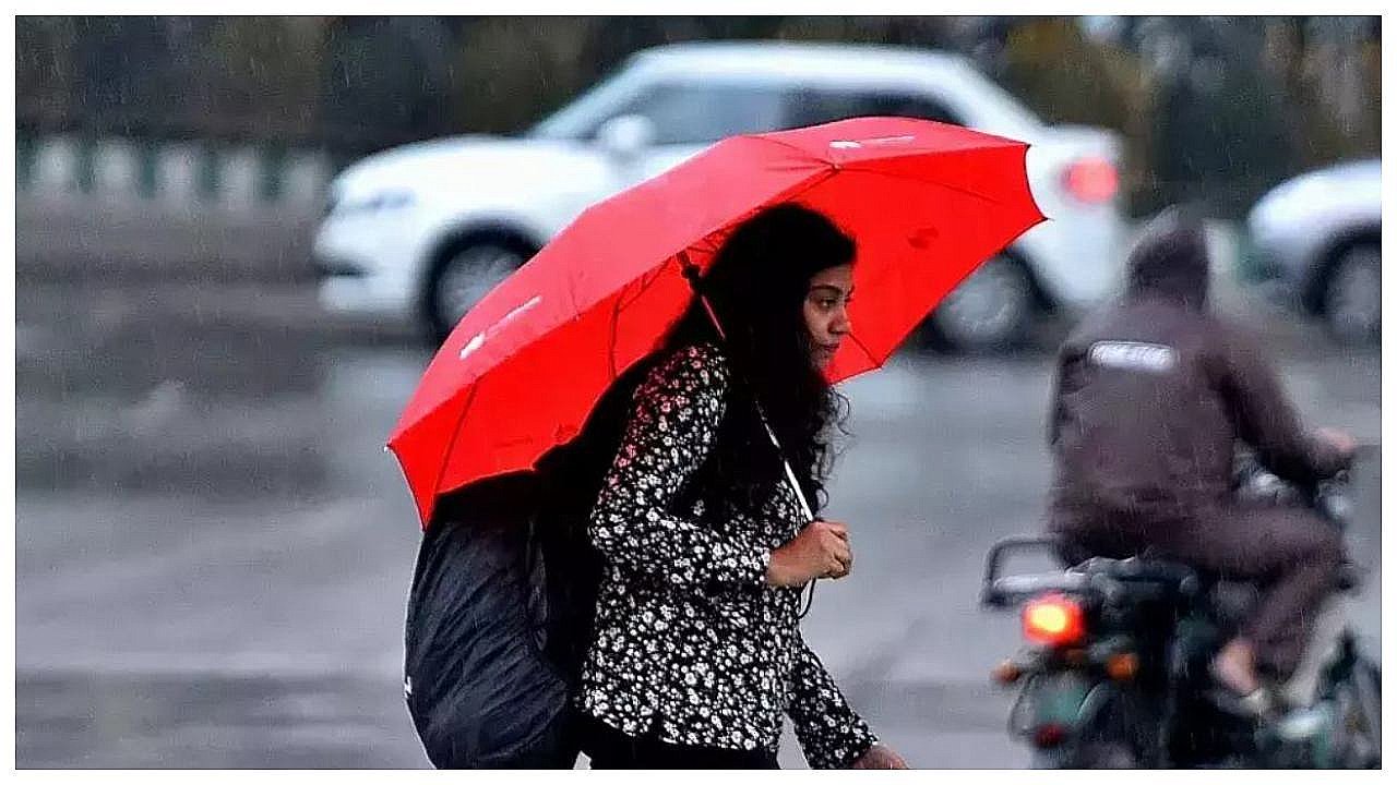 lucknow weather live update today 29 july 2023 up weather forecast imd ...